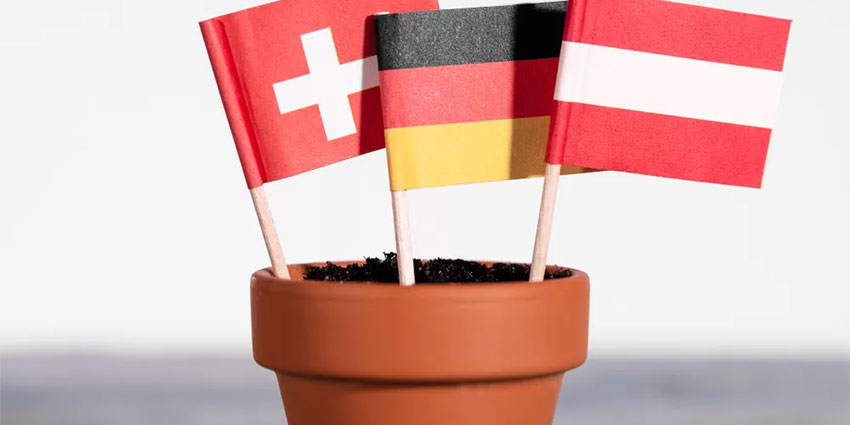 The Languages Spoken in Switzerland: a Detailed Guide